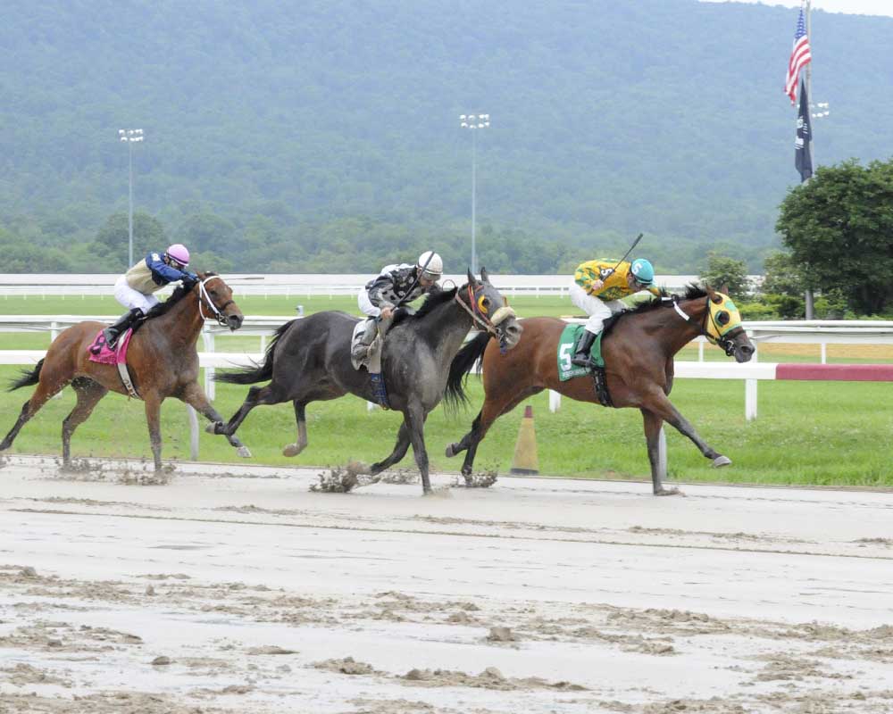 About - Bush Racing StableBush Racing Stable