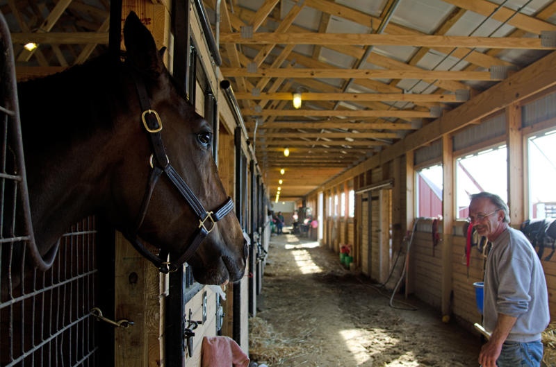 Contact - Bush Racing StableBush Racing Stable