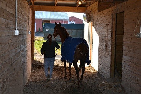 FAQ's - Bush Racing StableBush Racing Stable