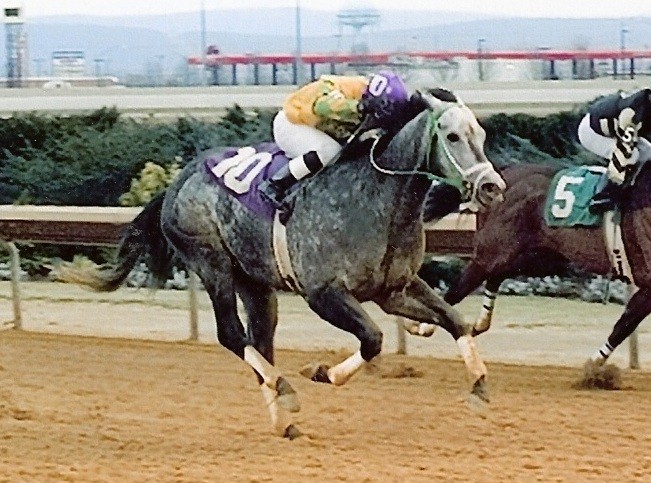 Artillery Exchange - Bush Racing StableBush Racing Stable