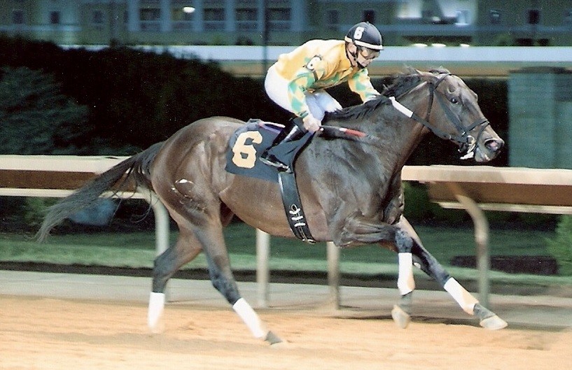 Z'Bullseye - Bush Racing StableBush Racing Stable