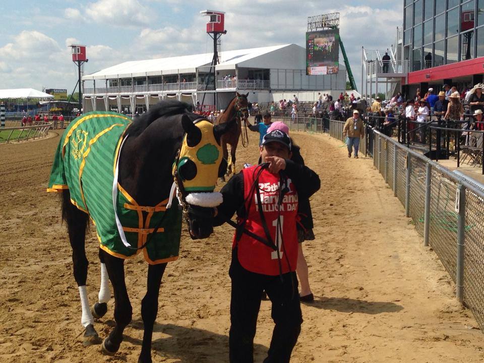 Links - Bush Racing StableBush Racing Stable