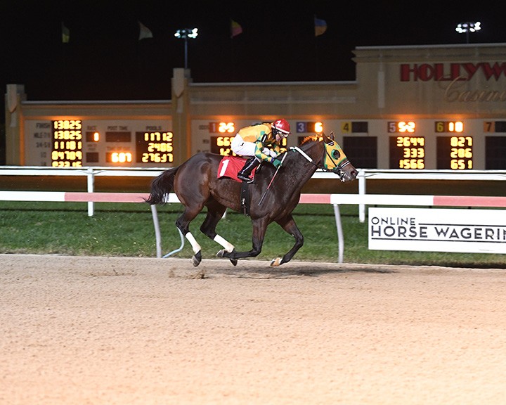Persie - Bush Racing StableBush Racing Stable