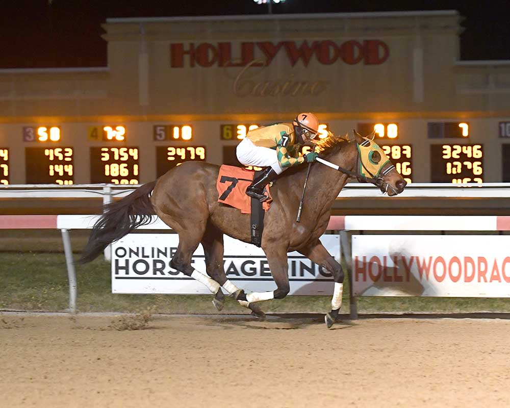 Manipulated - Bush Racing StableBush Racing Stable