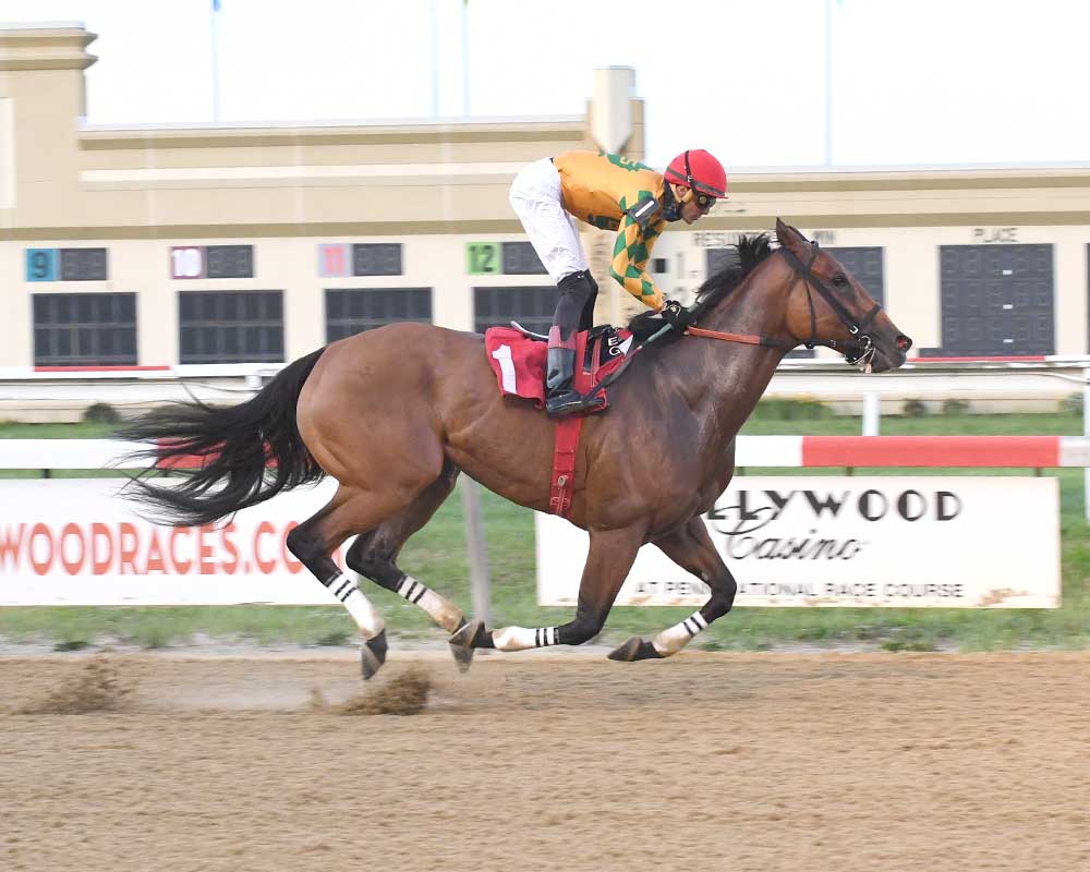 Charity Stripe - Bush Racing StableBush Racing Stable
