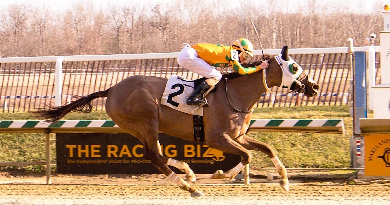 Sierra Leona - Bush Racing StableBush Racing Stable
