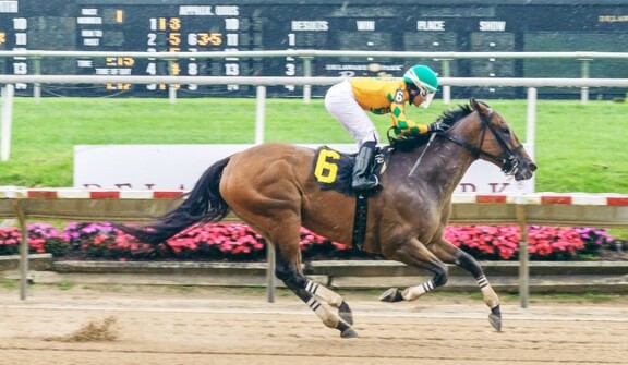 Bush Racing Stable - Affordable Horse Racing PartnershipsBush Racing Stable