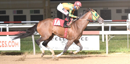 His Name is Sue - Bush Racing StableBush Racing Stable
