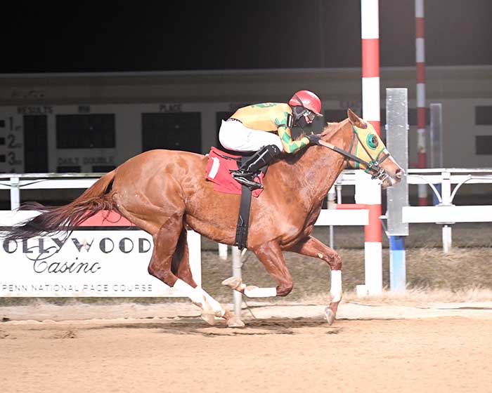 Unparalleled - Bush Racing StableBush Racing Stable