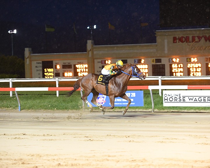 Pictor - Bush Racing StableBush Racing Stable