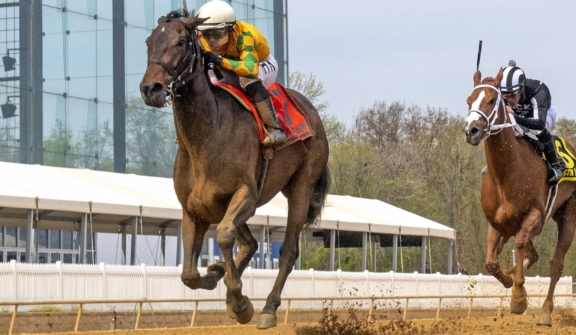 Bush Racing Stable - Affordable Horse Racing PartnershipsBush Racing Stable