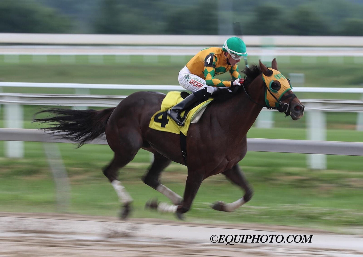 Our Stable - Bush Racing StableBush Racing Stable