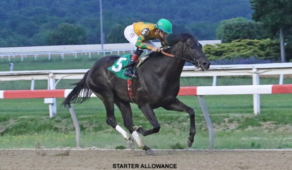 Bush Racing Stable - Affordable Horse Racing PartnershipsBush Racing Stable