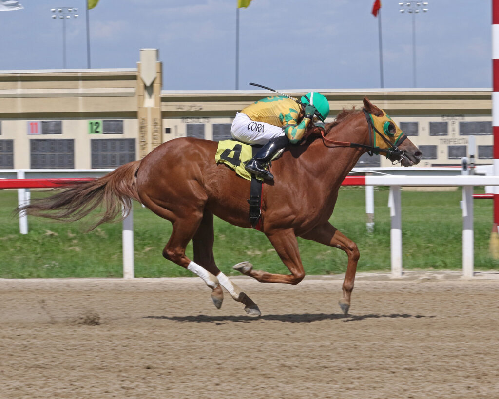 Byk - Bush Racing StableBush Racing Stable