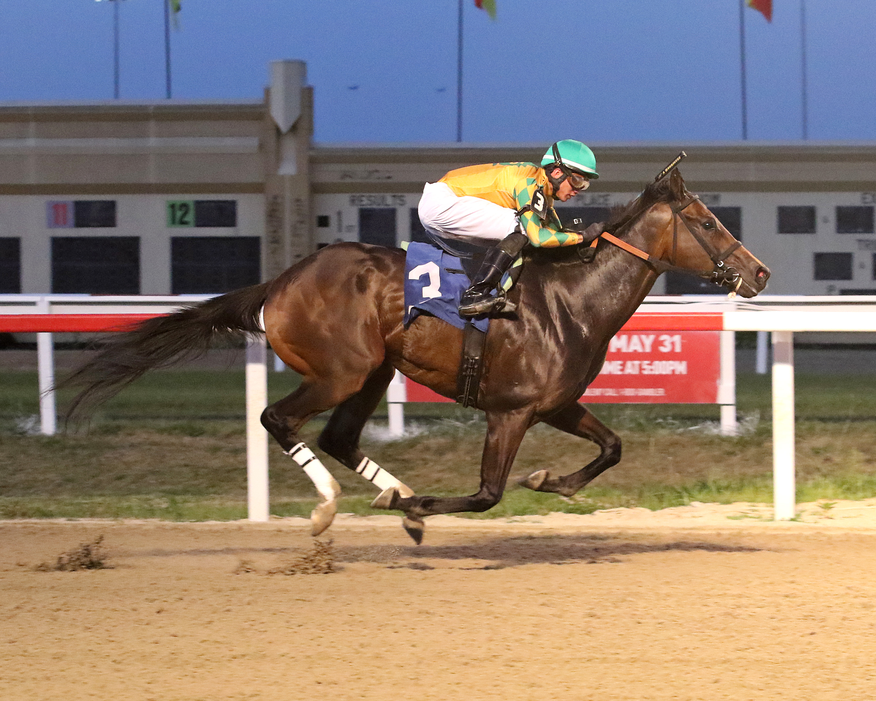 Memory Bouquet - Bush Racing StableBush Racing Stable