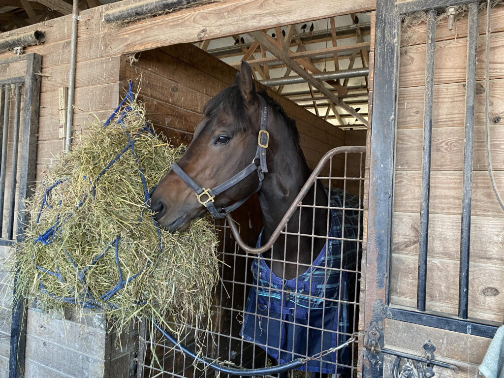 Memory Bouquet - Bush Racing StableBush Racing Stable
