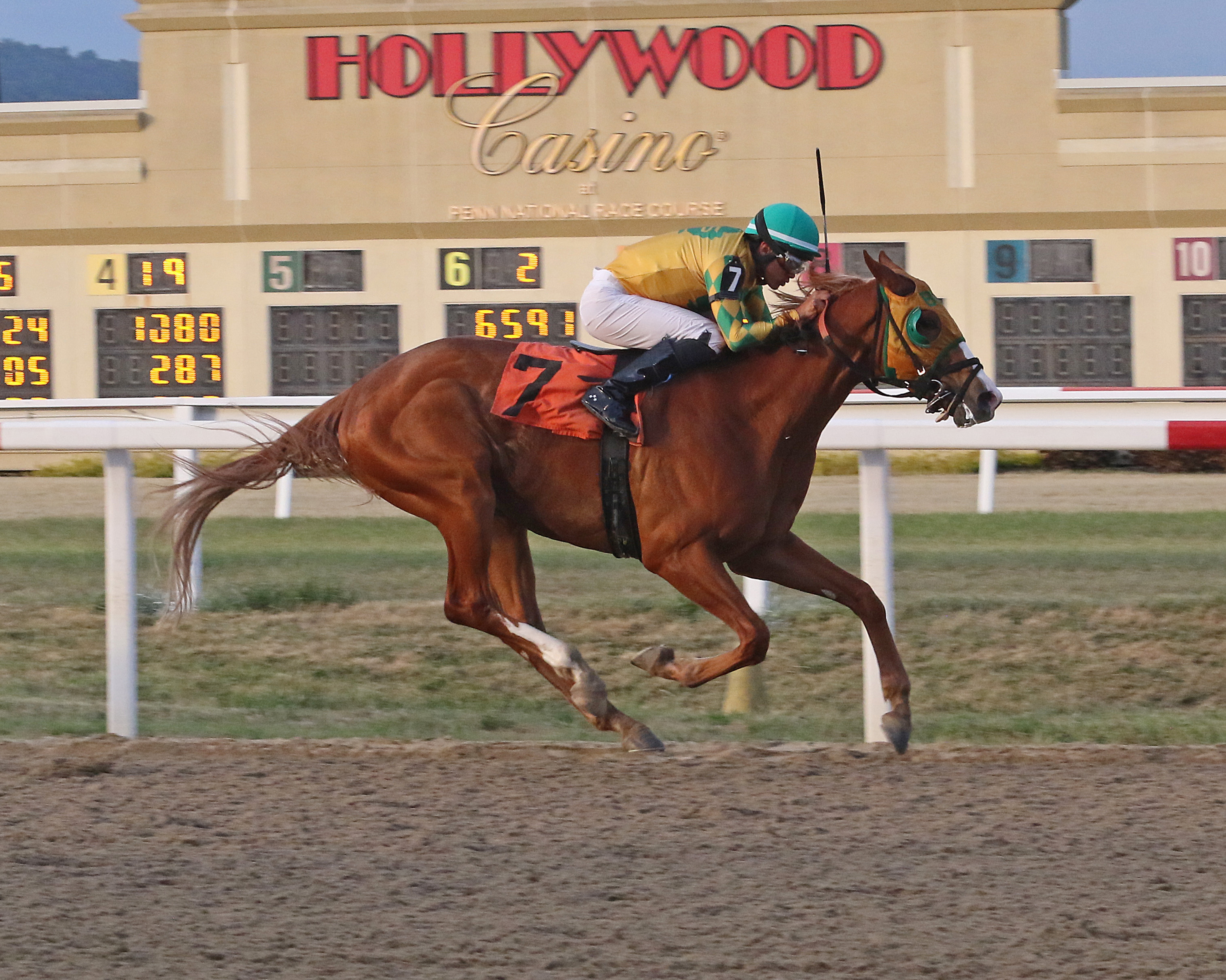 Mighty Minion - Bush Racing StableBush Racing Stable