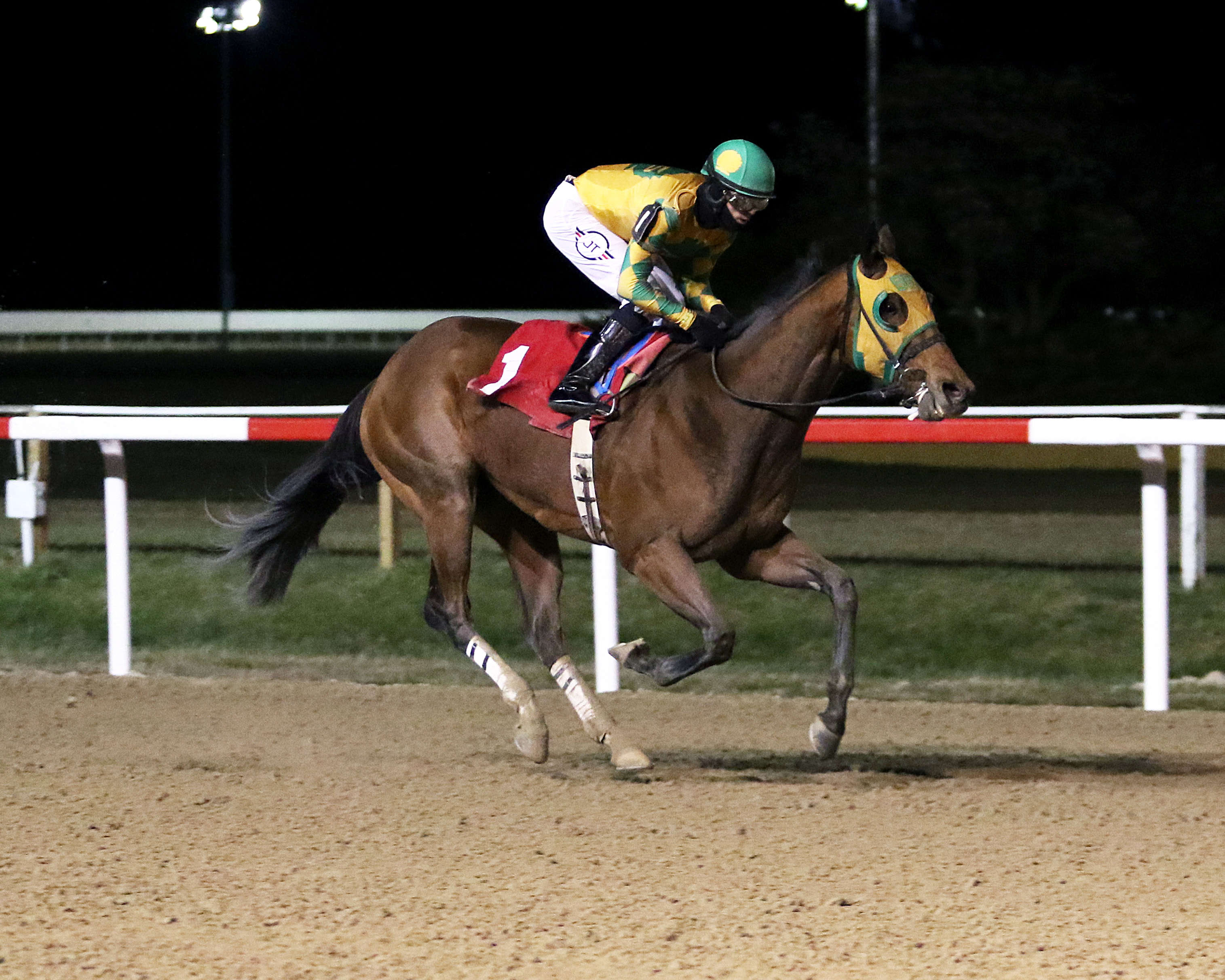 Keeping It Country - Bush Racing StableBush Racing Stable