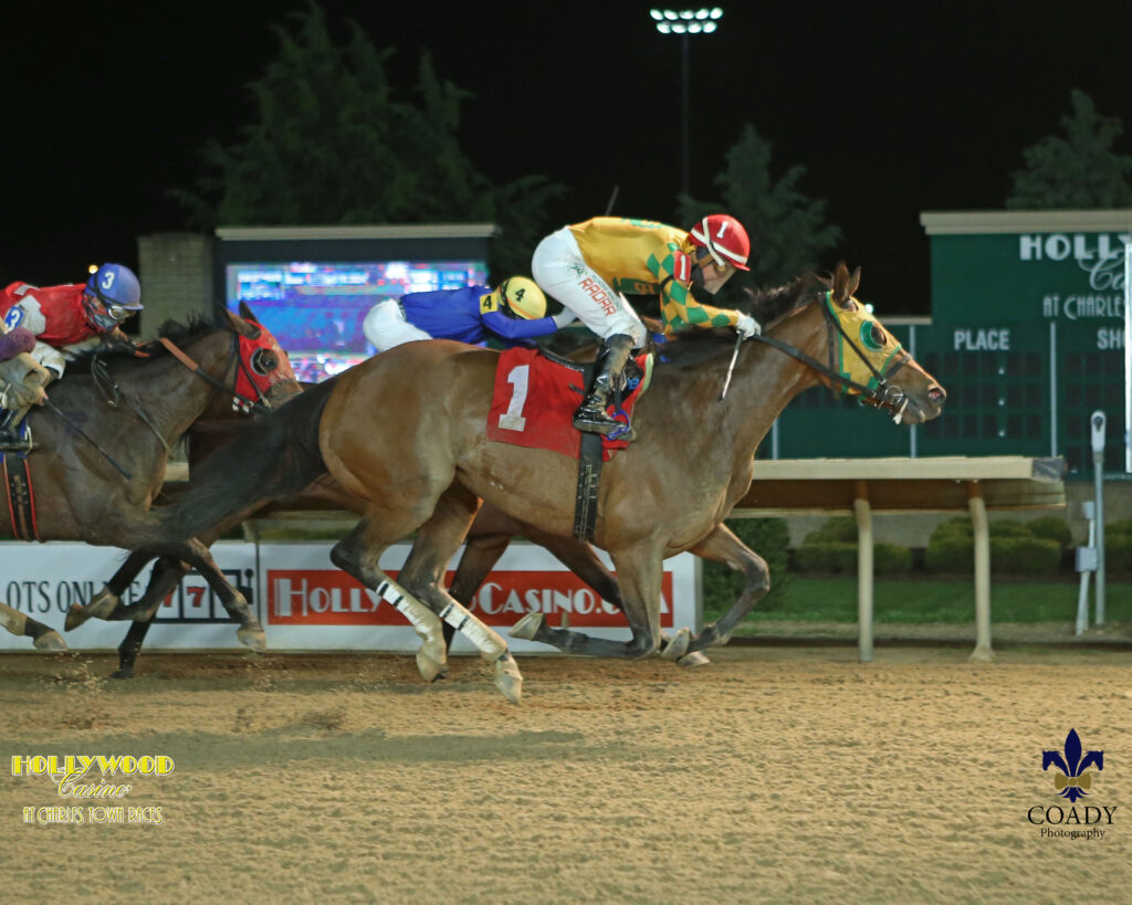 Golden Eib Micrphn - Bush Racing StableBush Racing Stable