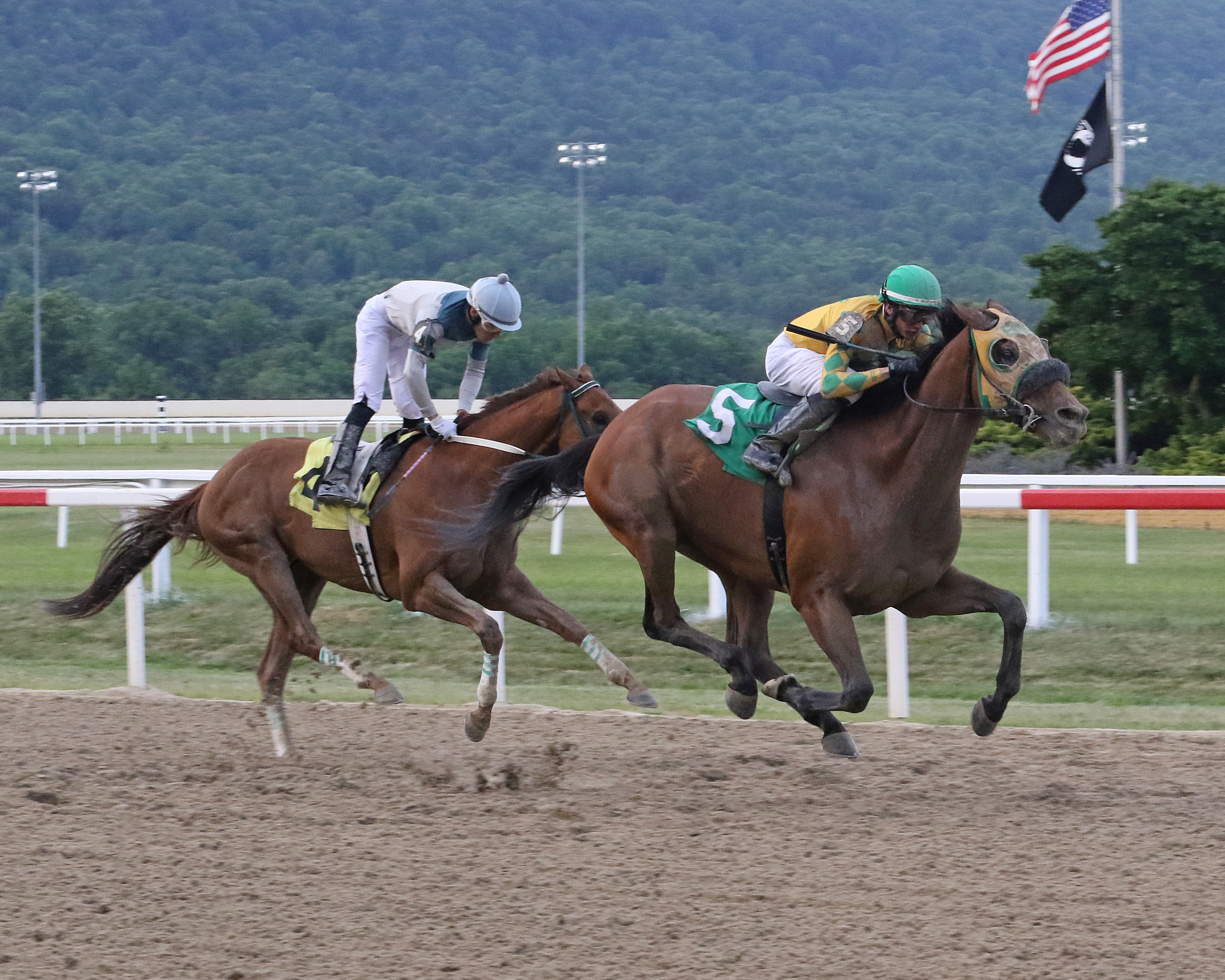 Skimble Shanks - Bush Racing StableBush Racing Stable