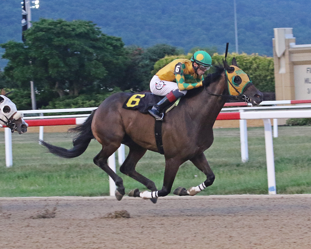 Brett's World - Bush Racing StableBush Racing Stable