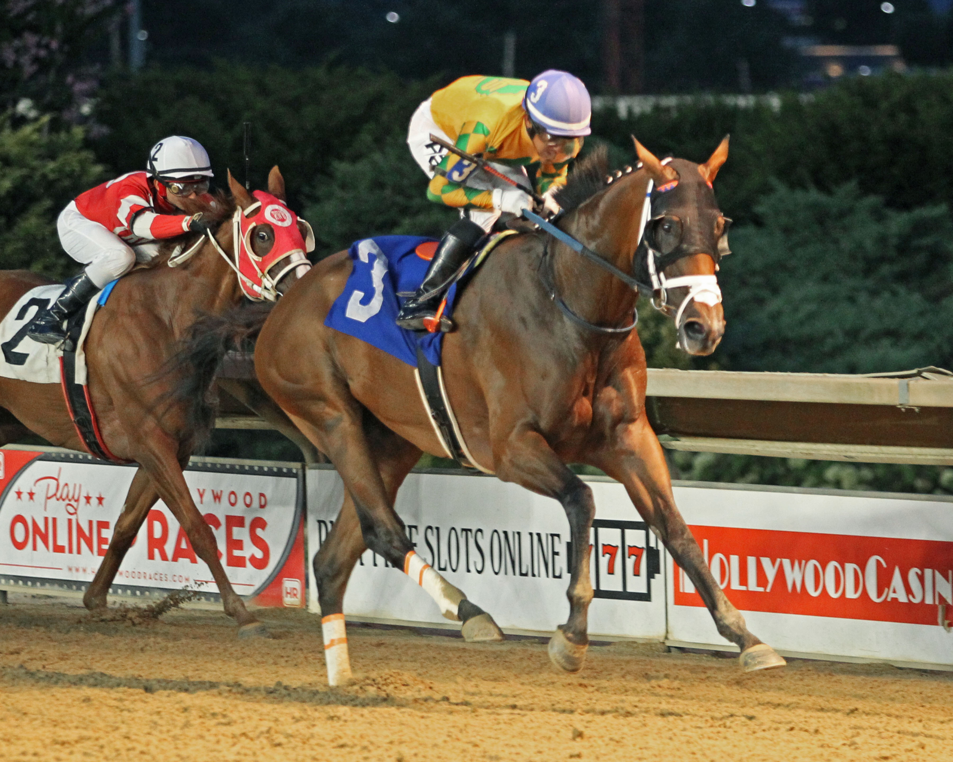 Emberly - Bush Racing StableBush Racing Stable